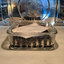 carnivores steam grid 3D Models | Page 1 | STLFinder