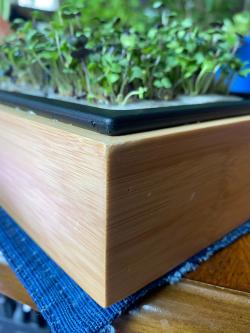 hamama sprouts 3D Models | Page 1 | STLFinder