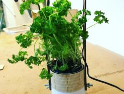 smart planter 3D Models | Page 1 | STLFinder