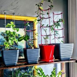 modular plant support 3D Models | Page 1 | STLFinder