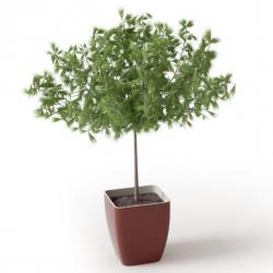 archmodels vol 63 gratis | Page 1 | STLFinder