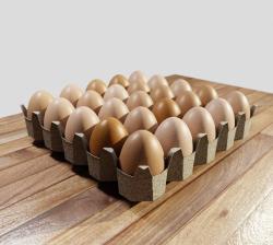 rasterbator net carboard cutout 3D Models | Page 1 | STLFinder