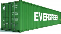 evergreen model 【 STLFinder