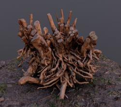 poly root 3D Models | Page 1 | STLFinder