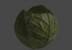 cabbage 3d model | Page 1 | STLFinder