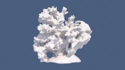 coral reefs 3D Models | Page 1 | STLFinder