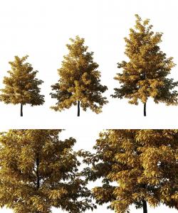 autumn model | Page 1 | STLFinder