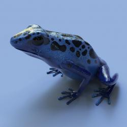 Azureus Dart Frog 3D Models | Page 1 | STLFinder
