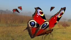 animation of butterfly 3D Models | Page 1 | STLFinder