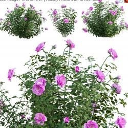 peachy knock out 3D Models | Page 1 | STLFinder