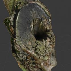 saw 3d rotten tomatoes rating | Page 1 | STLFinder