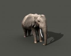 african elephant 3d model 【 STLFinder