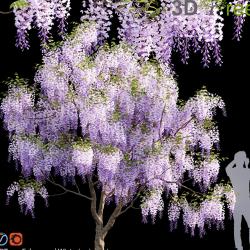 wisteria 04 3d models 【 STLFinder