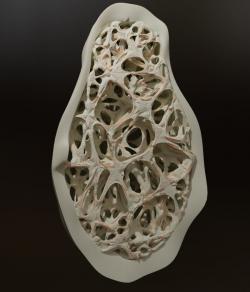 male model bone structure | Page 1 | STLFinder