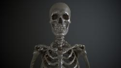 armature 3d model | Page 1 | STLFinder