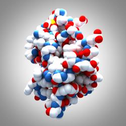 protein 3d 【 STLFinder
