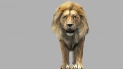 lion animation 3D Models | Page 1 | STLFinder