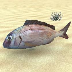 pagar 3d solo | Page 1 | STLFinder