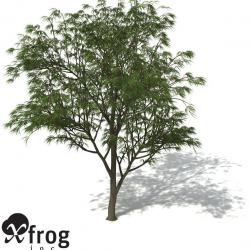 casuarina equisetifolia 3d model | Page 1 | STLFinder