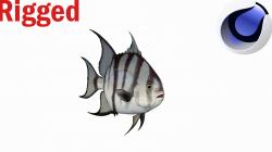 spade fishing 3D Models | Page 1 | STLFinder