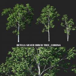 pl low poly silver birch tree 3D Models | Page 1 | STLFinder