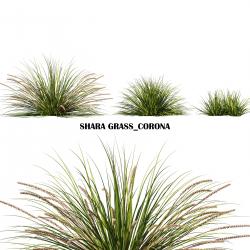 shara 3d comic | Page 1 | STLFinder