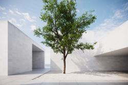 large model trees | Page 1 | STLFinder