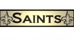 saints 3d | Page 1 | STLFinder