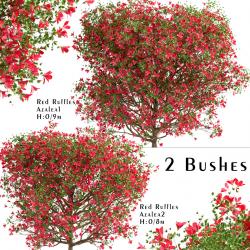 azalea red ruffles 3D Models | Page 1 | STLFinder