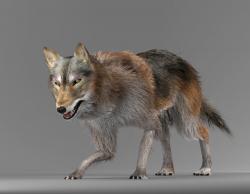 wolf simulator wild animals 3d | Page 1 | STLFinder