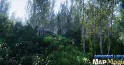 unity 3d forest 【 STLFinder