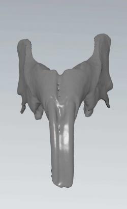 rat skull mask 3D Models | Page 1 | STLFinder