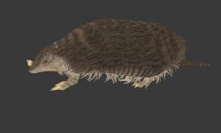 peltephilus 3D Models | Page 1 | STLFinder