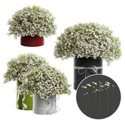 hat box 3d models | Page 1 | STLFinder