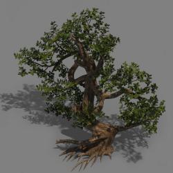 cypress plant 3d file | Page 1 | STLFinder