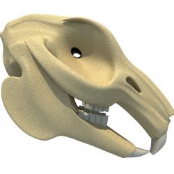 rabbit skull lagomorpha 3d models | Page 1 | STLFinder