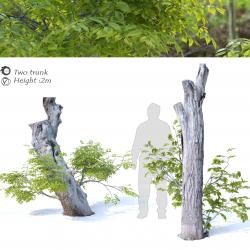 tree trunk with branches template 3D Models | Page 1 | STLFinder
