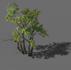 the grove 3d | Page 1 | STLFinder