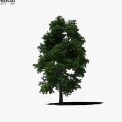 3d printer filament hickory nc | Page 1 | STLFinder