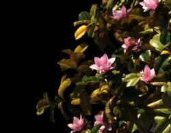 l models | Page 1 | STLFinder