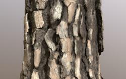 pine tree trunk 3D Models | Page 1 | STLFinder