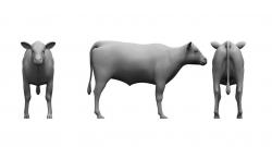 calf 3d model 【 STLFinder