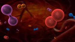 cell division 3d models 【 STLFinder