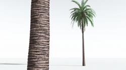 11 16 gd models finny nnsets | Page 1 | STLFinder