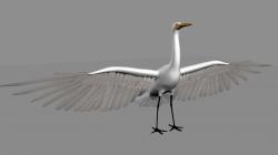 egret 3D Models | Page 1 | STLFinder