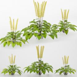 ligularia reniformis tractor seat 3d | Page 1 | STLFinder