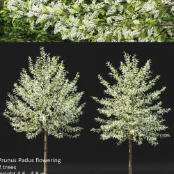 padus discjuggler download 3D Models | Page 1 | STLFinder