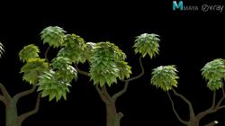 cartoon jungle tree 3D Models | Page 1 | STLFinder