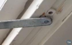 door thing 3D Models | Page 1 | STLFinder