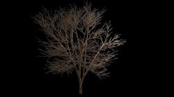 3d little trees 【 STLFinder